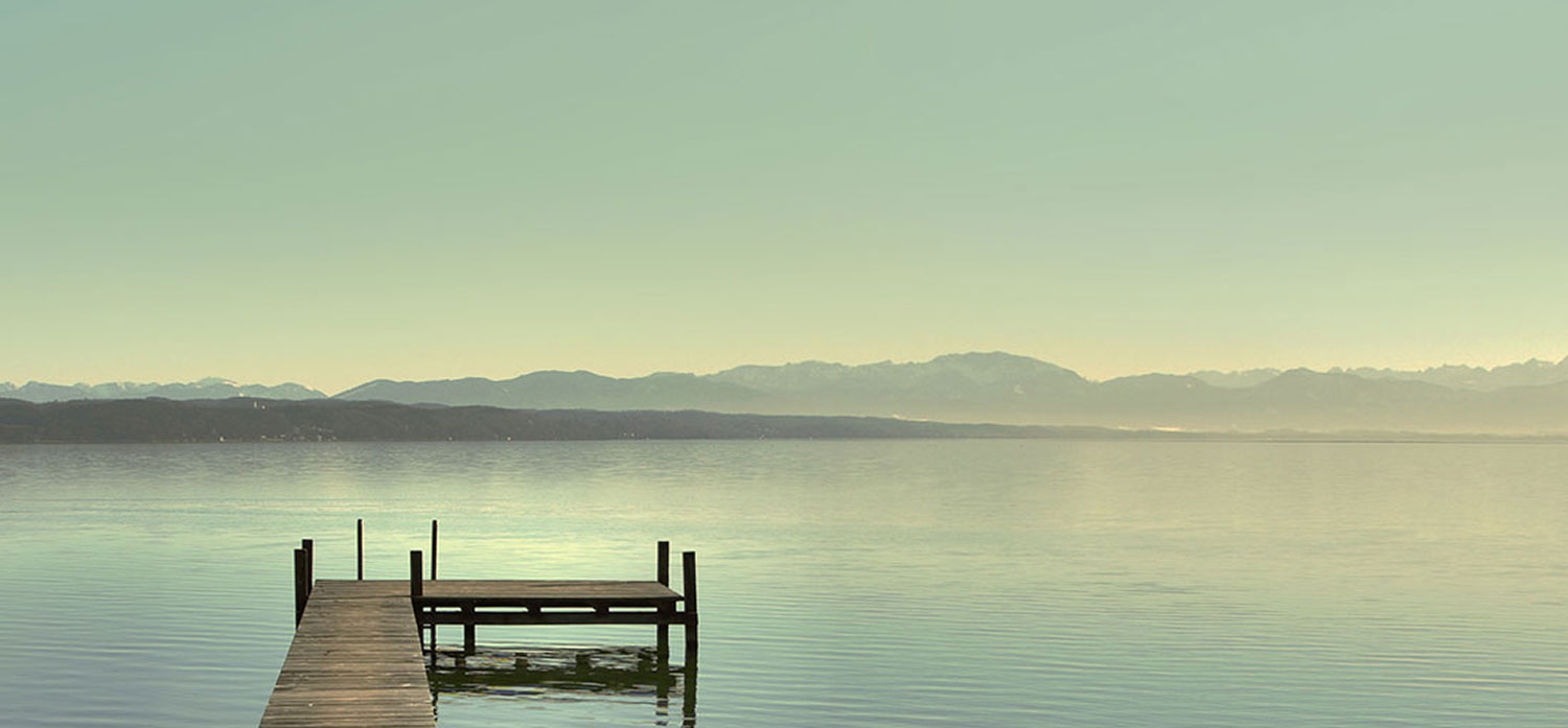 Projects – Amaranth Borsuk